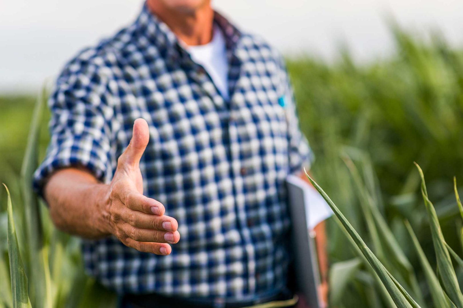 Recrutement - Neo Negoce