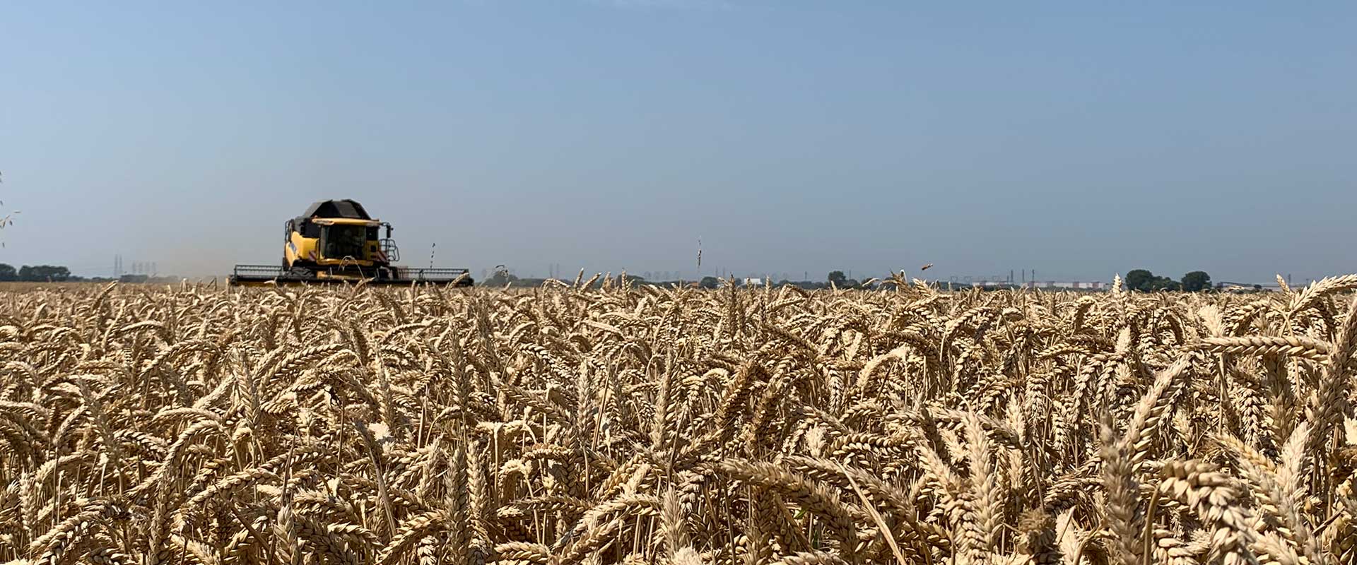 Mentions légales - Neo Negoce