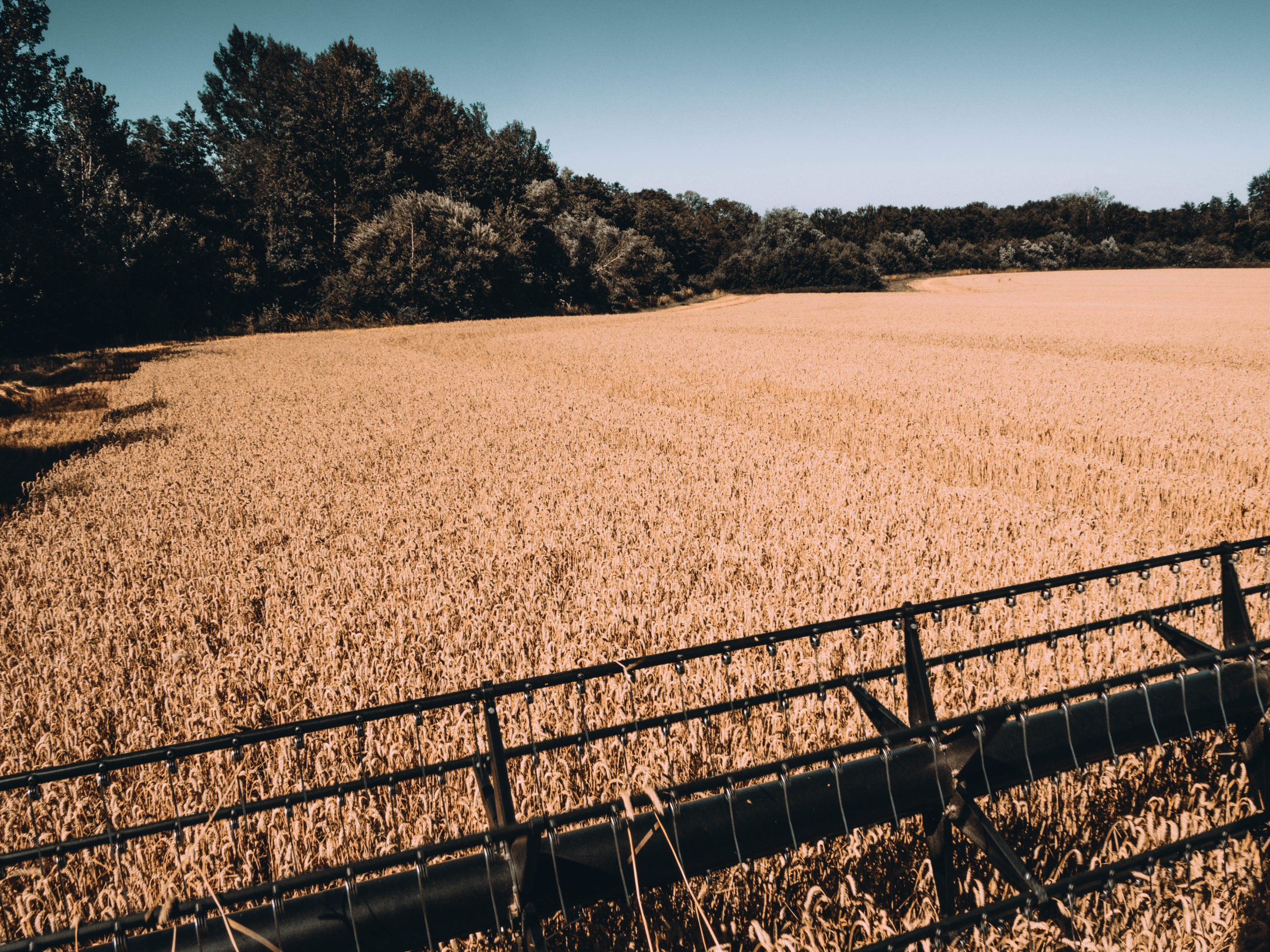 Neo Negoce : contactez-nous vite et posez toutes vos questions