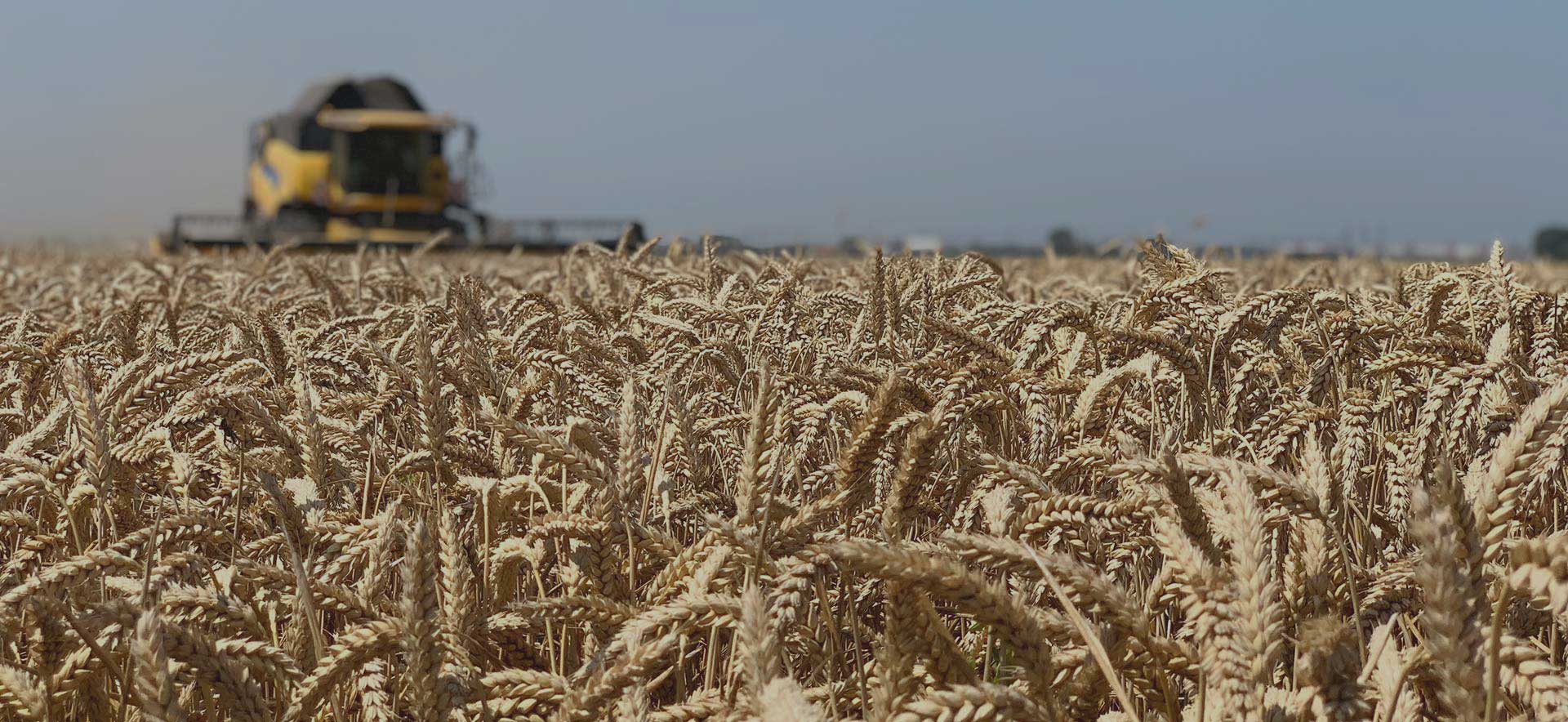 EXTRANET - Neo Negoce